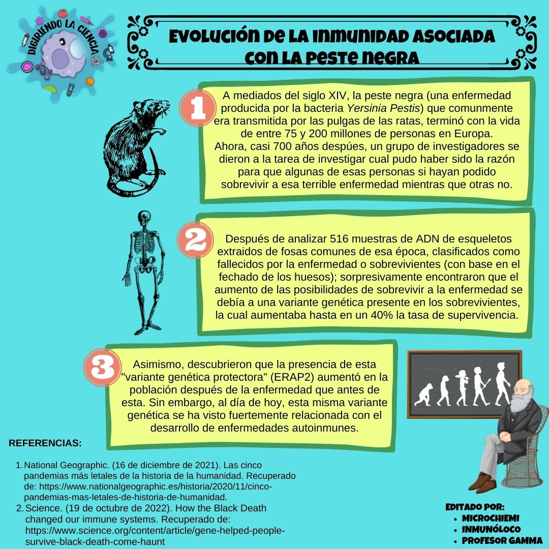 Evolución en la inmunidad de la peste Negra :: DIGIRIENDO LA CIENCIA